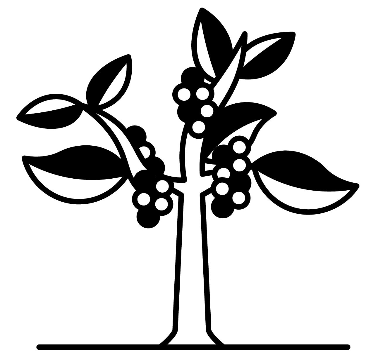 Dheva Lab – กาแฟเดวา